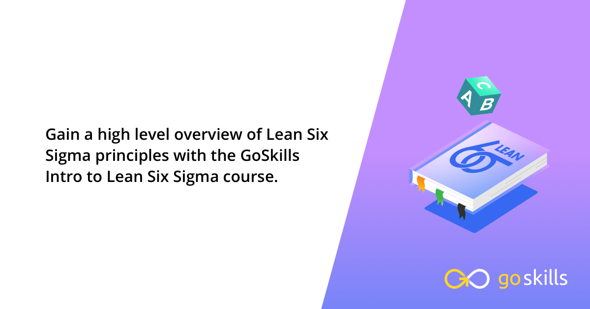 Lean Six Sigma Basics: Intro to Lean Six Sigma | GoSkills