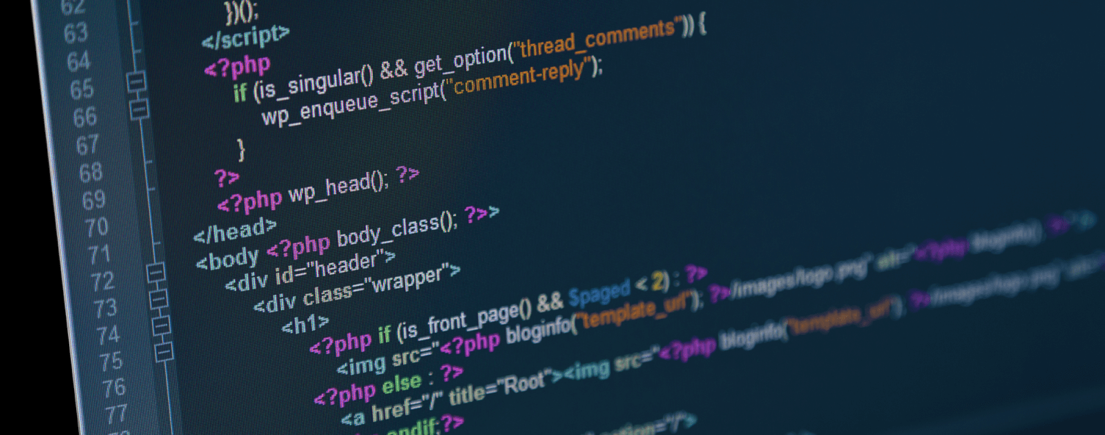 Web designer vs Web Developer: What's the difference?