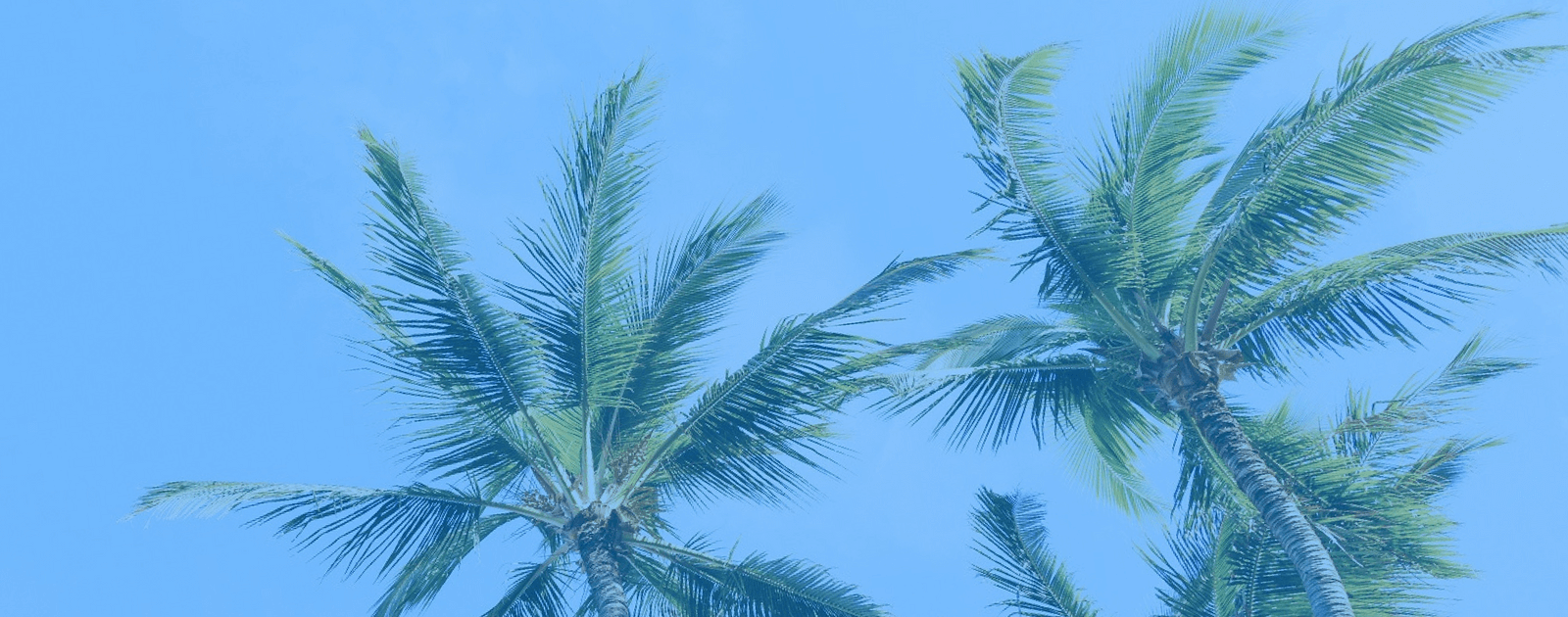 48 Best Excel Add-Ins That Will Make Your Life Easier