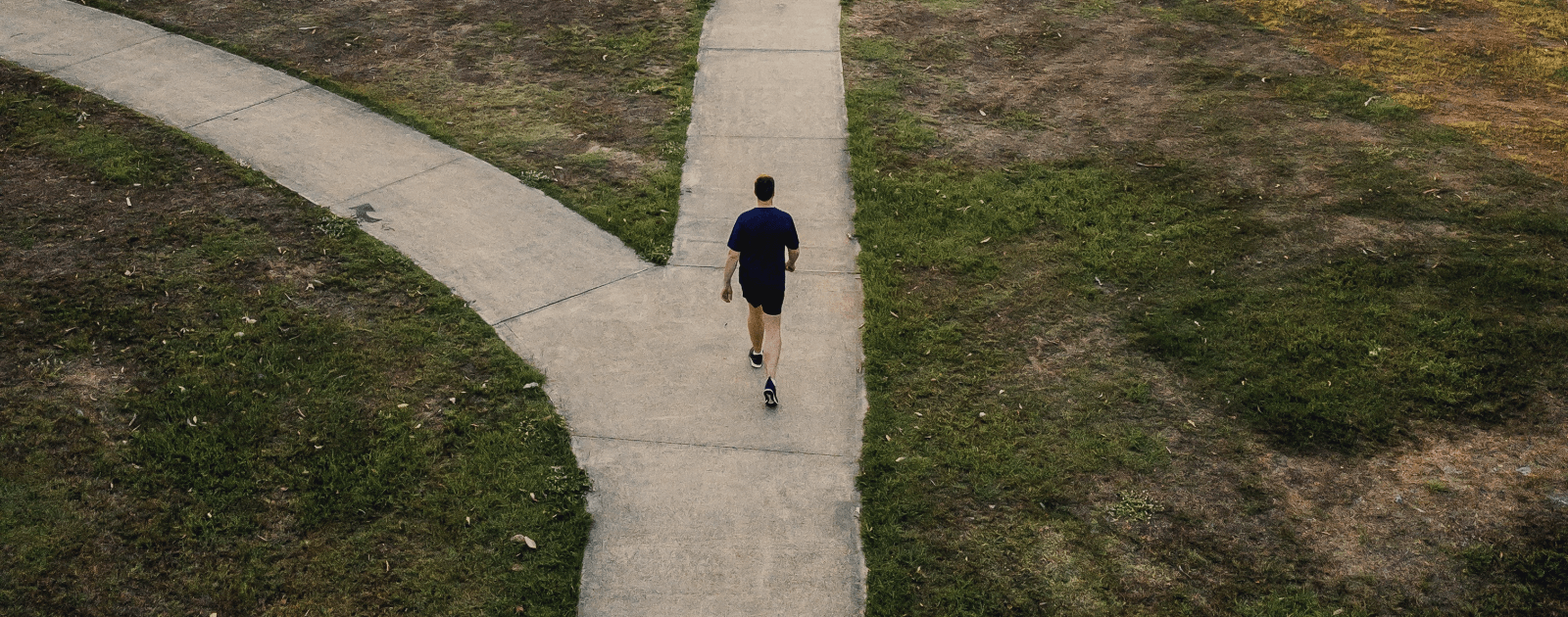 How to Create an Effective Learning Path for Employee Training